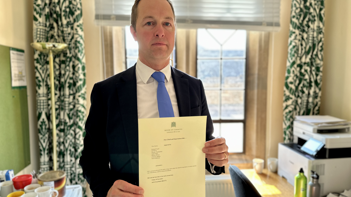 Devon’s Lib Dem MP calls for dog smuggling ban - Honiton, Sidmouth and ...